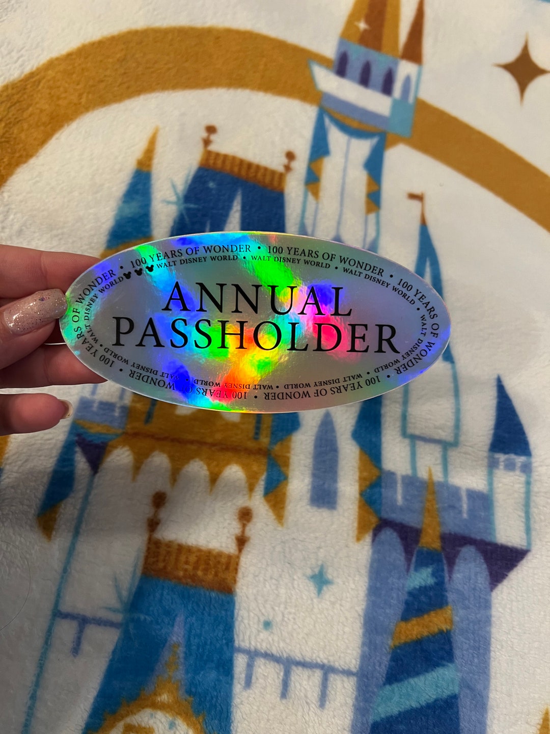 Annual Passholder Holographic Sticker - Etsy