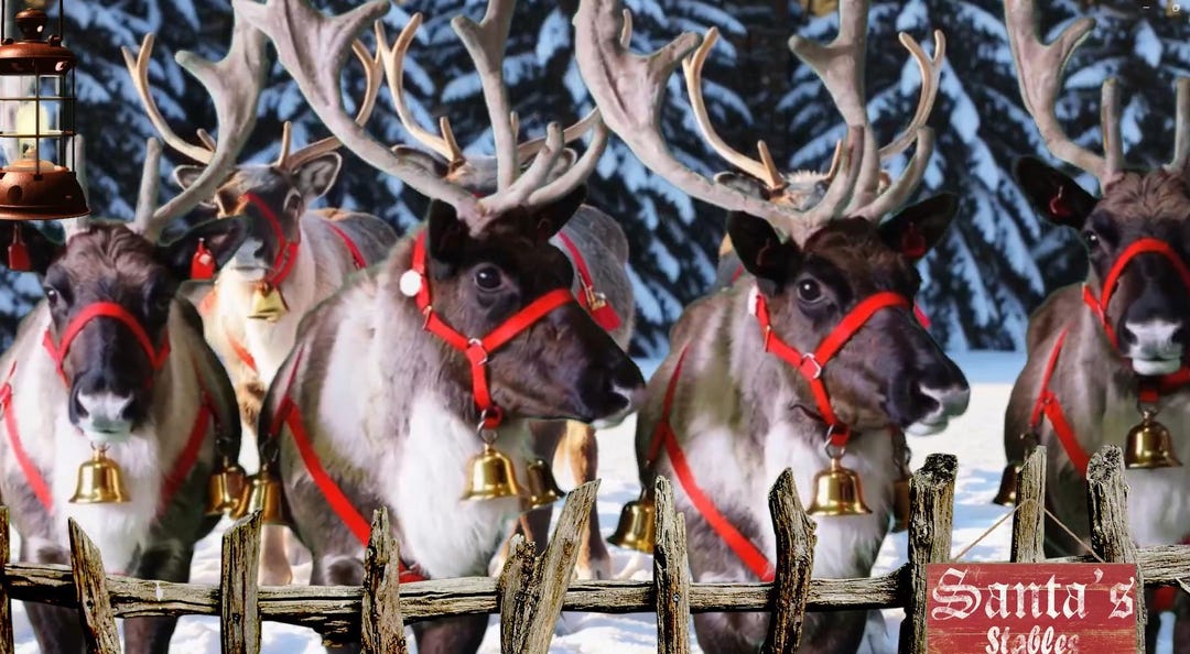 Zoom Background Reindeer Pens - Etsy