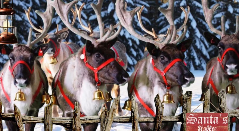 Zoom Background Reindeer Pens - Etsy