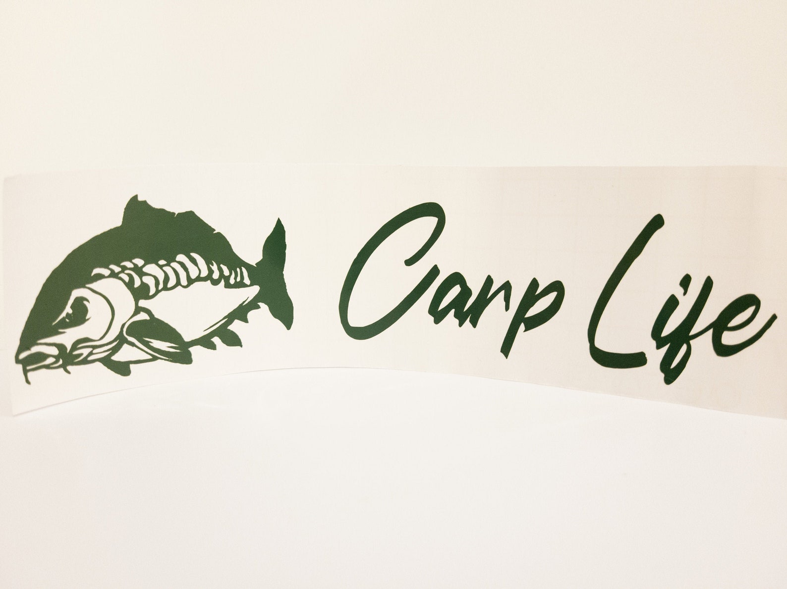 Carp Fishing Stickers Customization Available Carp Fishing | Etsy