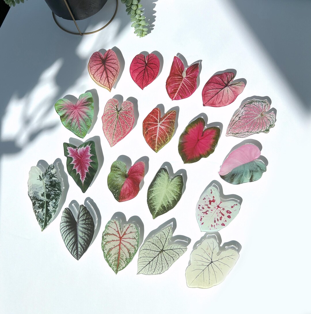 Plant Phone Stand | Leaf Phone Holder | Leaves Phone Accessories ...