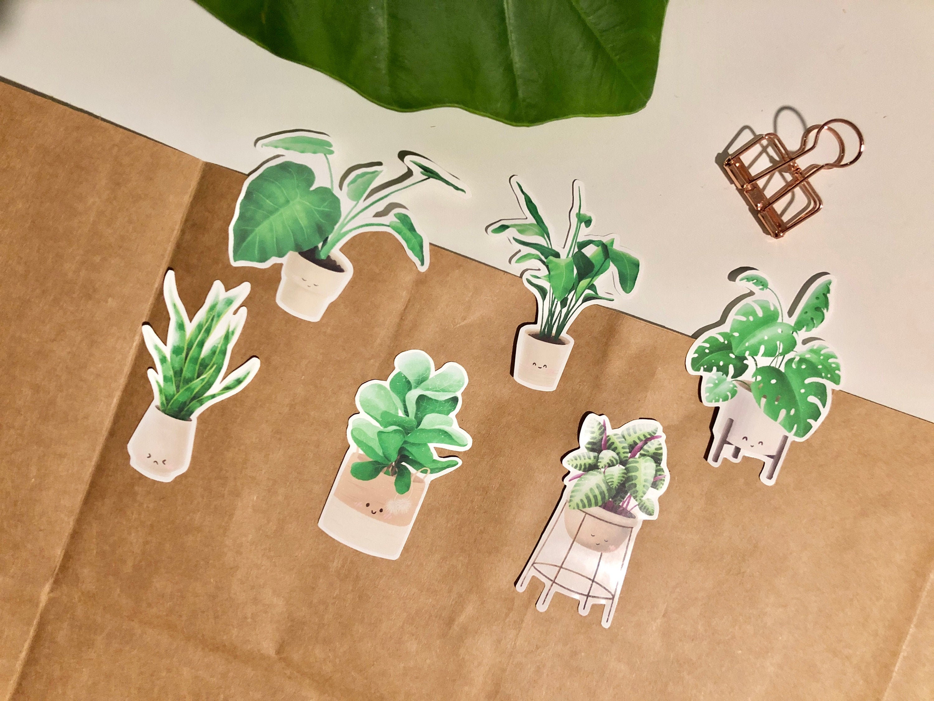 House Plant Sticker Pack Water Resistant Matte Vinyl - Etsy
