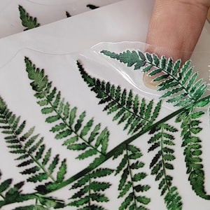 Fern Window Cling, Spring Decor, Window Decals,reusable and Static ...