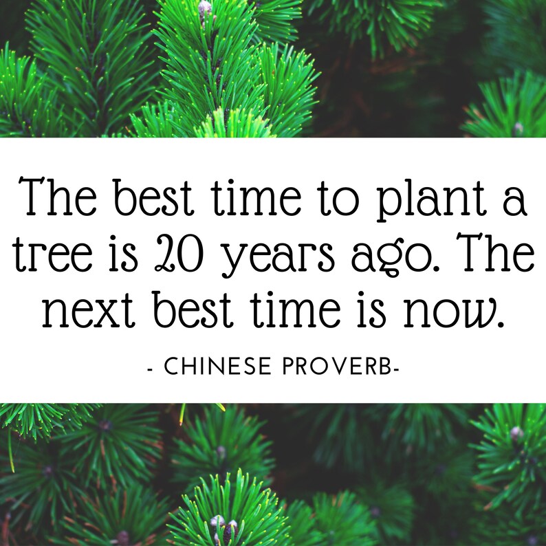 Chinese Proverb Wall Art, Growth Mindset - Etsy