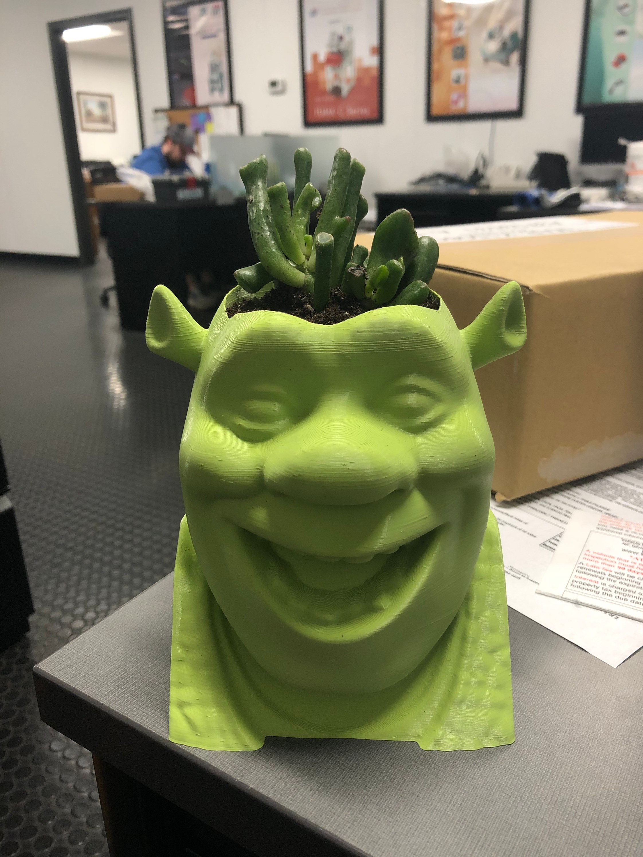 Shrek Planter - Etsy