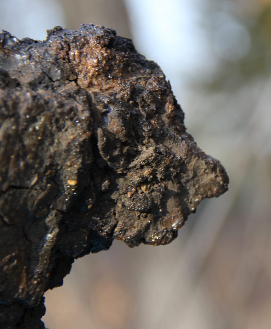 Ton/Boden Multi Imaged Perspektive Kunst Native American - Etsy.de