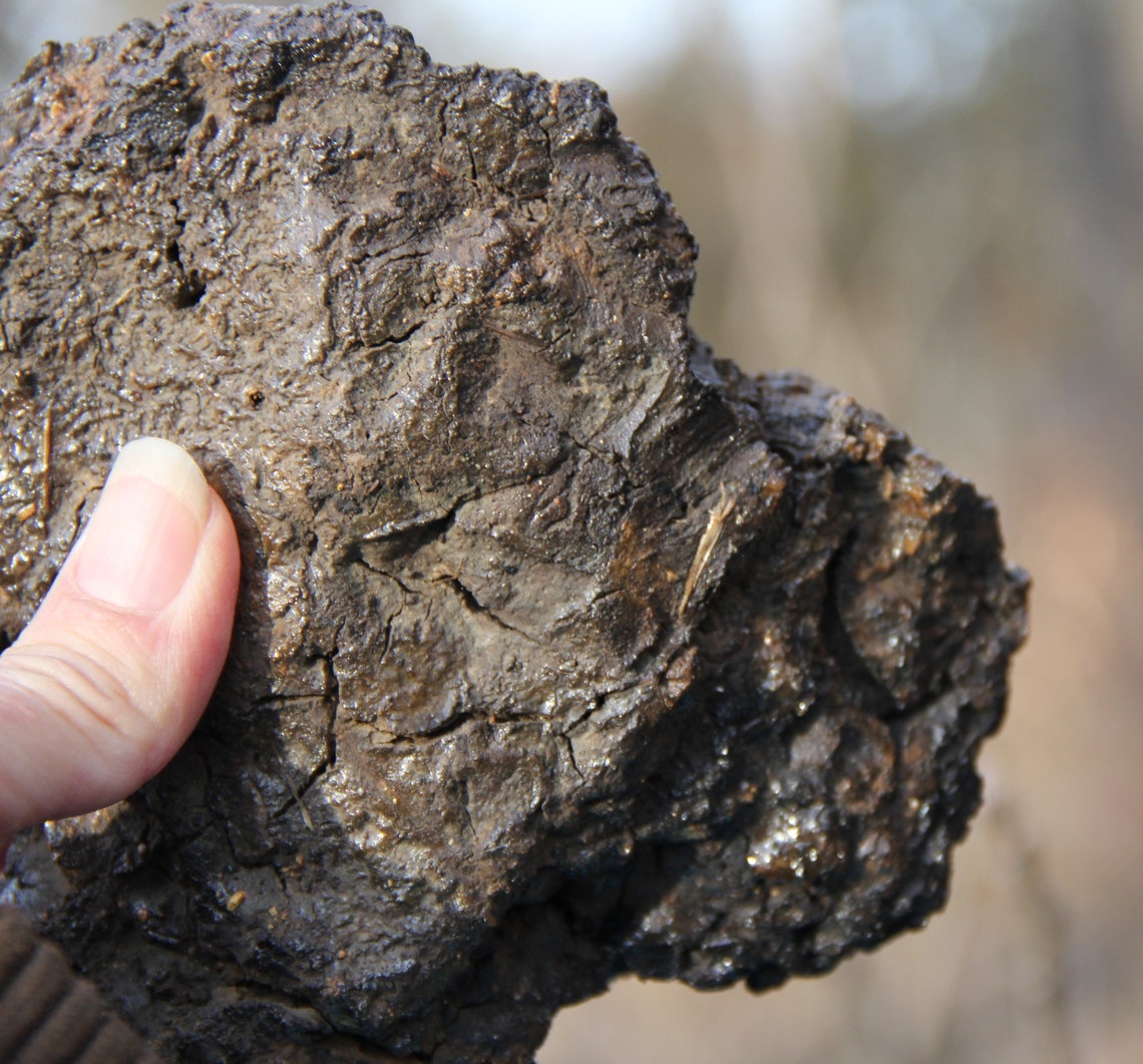 Ton/Boden Multi Imaged Perspektive Kunst Native American - Etsy.de