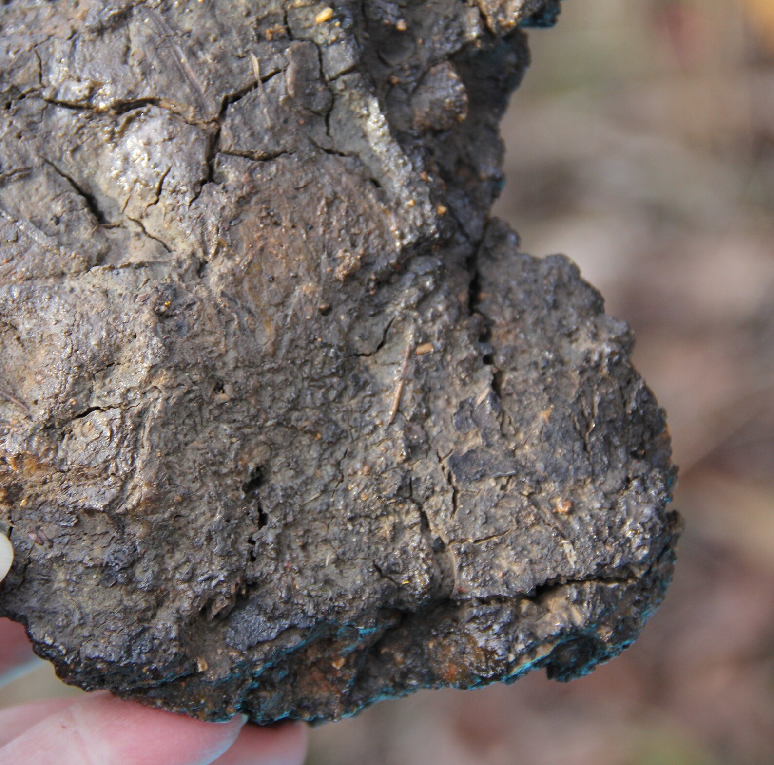 Ton/Boden Multi Imaged Perspektive Kunst Native American - Etsy.de