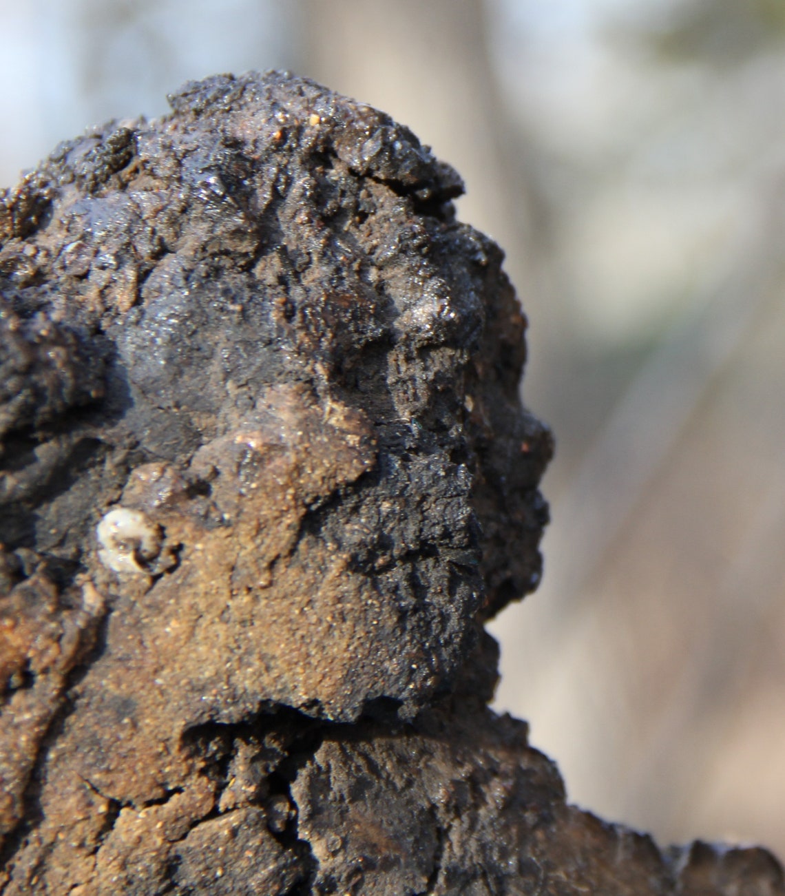 Ton/Boden Multi Imaged Perspektive Kunst Native American - Etsy.de