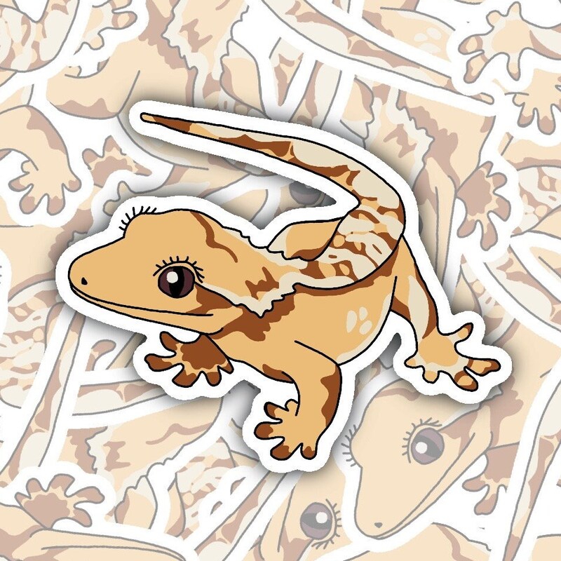 Crested Gecko Svg - Etsy