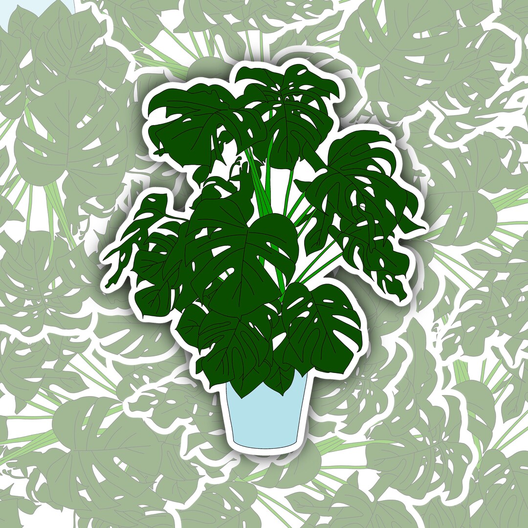 Monstera in Pot Plant Sticker, Decal, Waterbottle Sticker, Laptop ...