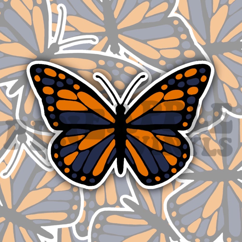 University of Virginia - Etsy