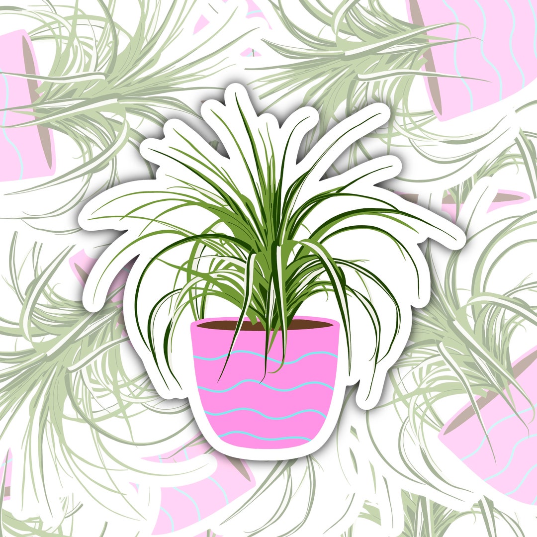 Spider Plant Sticker, Decal, Waterbottle Sticker, Laptop Sticket ...