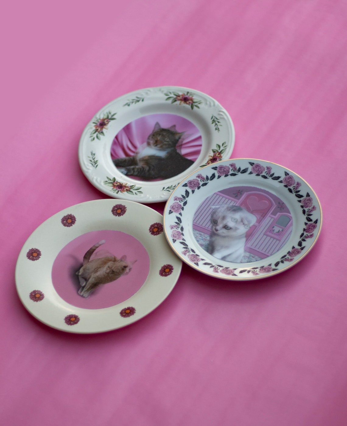 Umbridge's Lenticular Cat Plates Kit - Etsy