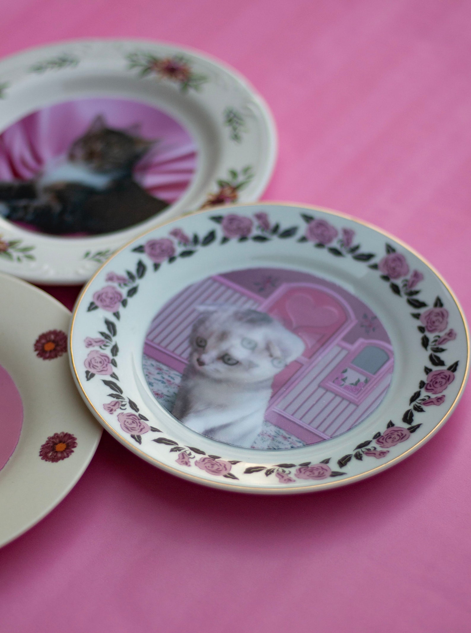 Umbridge's Lenticular Cat Plates Kit - Etsy