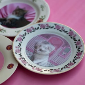 Umbridge's Cat Plates DIY Kit: Lenticular Moving Prints, Wizarding ...