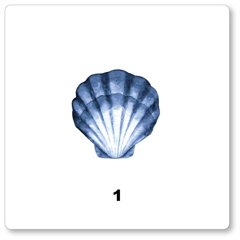 Sea Shells Heat Set Ceramic Wall Tile X 1 (choose a Size and Design) - Etsy