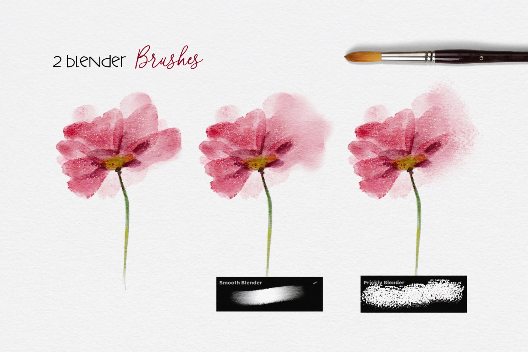 Digital Watercolor Botanical Workbook for Procreate, Botanical Art ...