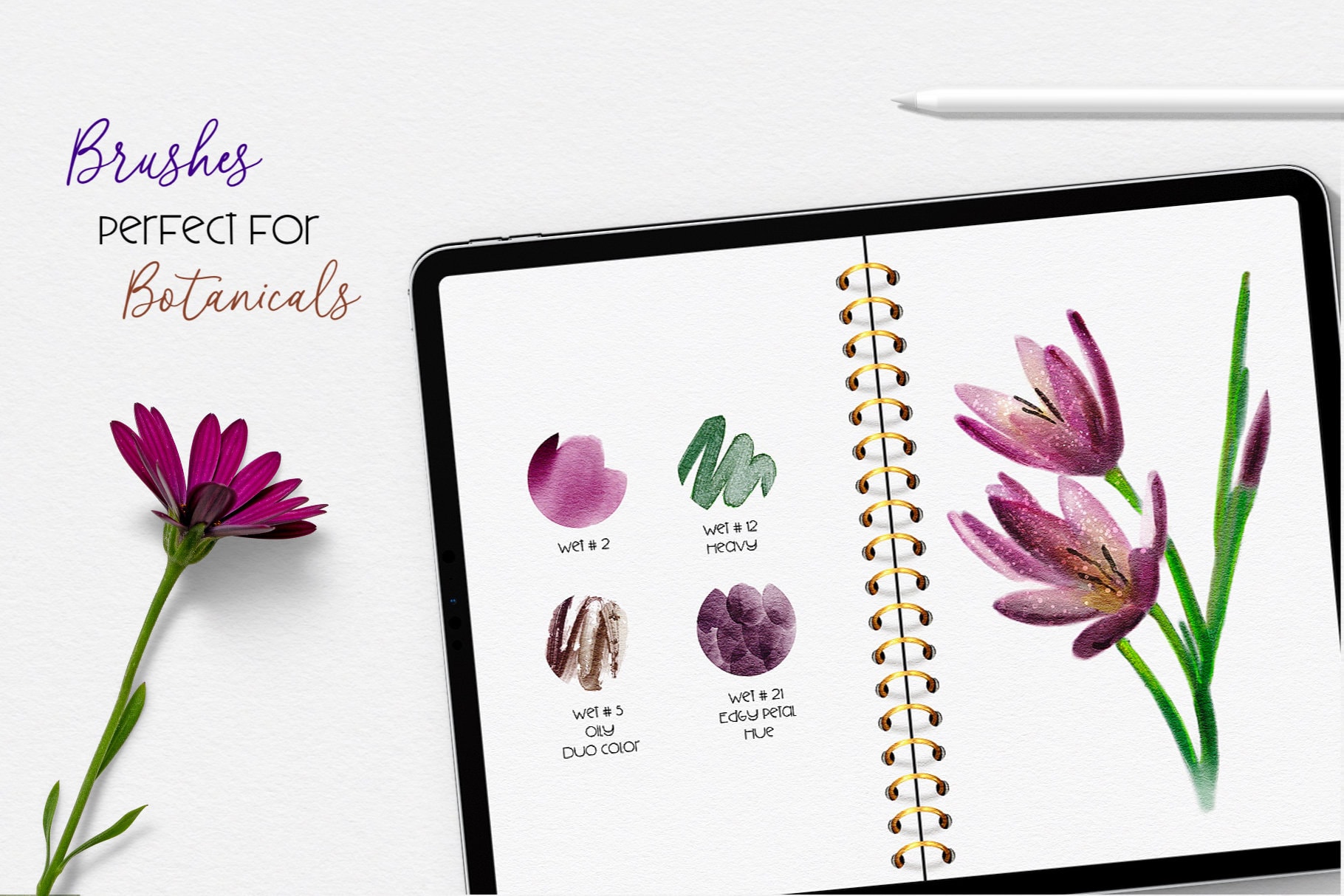Digital Watercolor Botanical Workbook for Procreate, Botanical Art ...