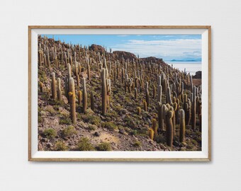 La Paz Bolivia Travel Wall Art Poster Print - Etsy