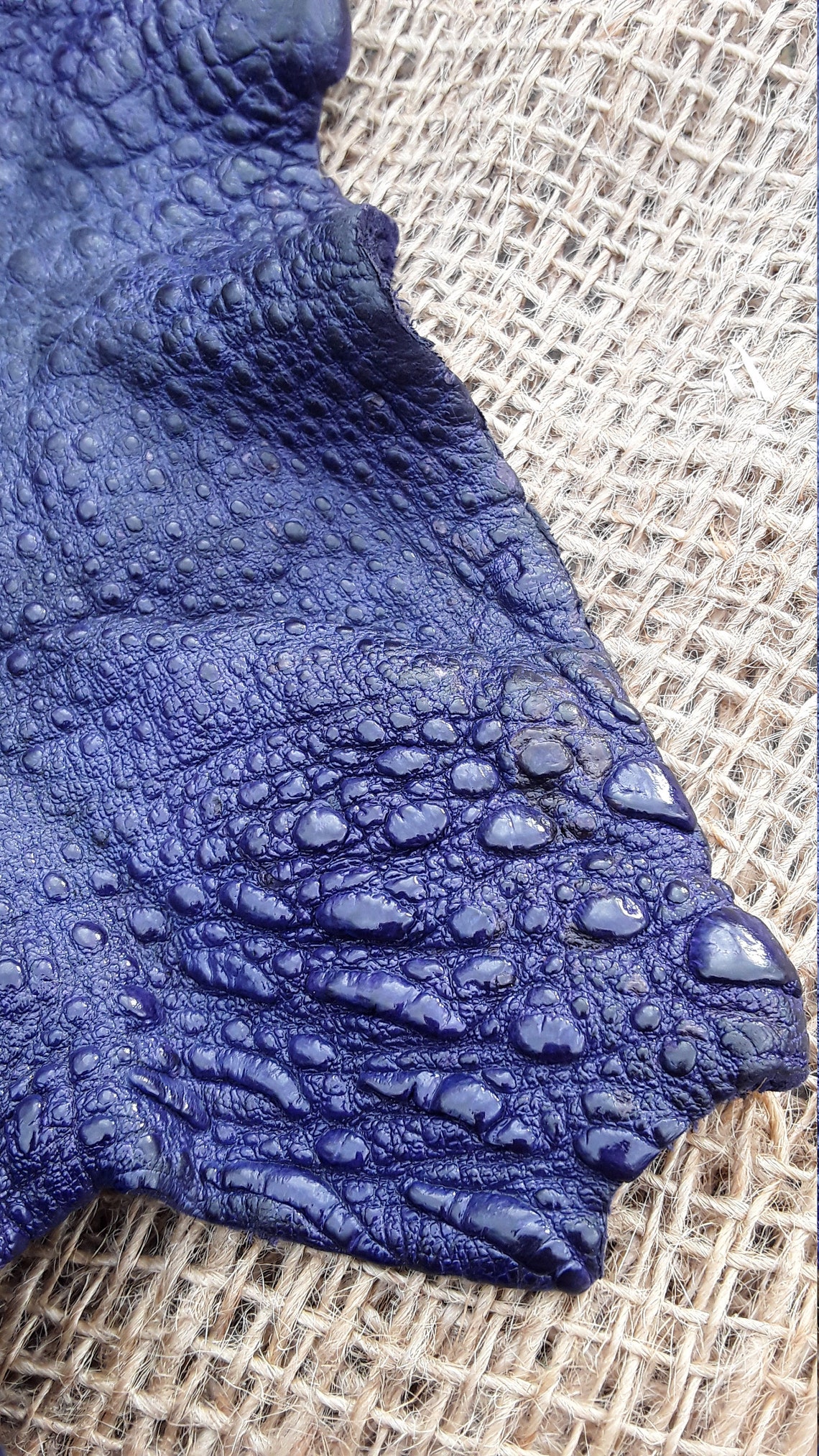 Snapping Turtle Leather , Navy Blue Tail and Shoulder , Common Snapping ...