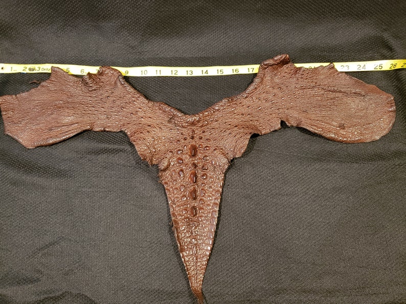 Large Snapping Turtle Leather Large Project Grade Tail - Etsy