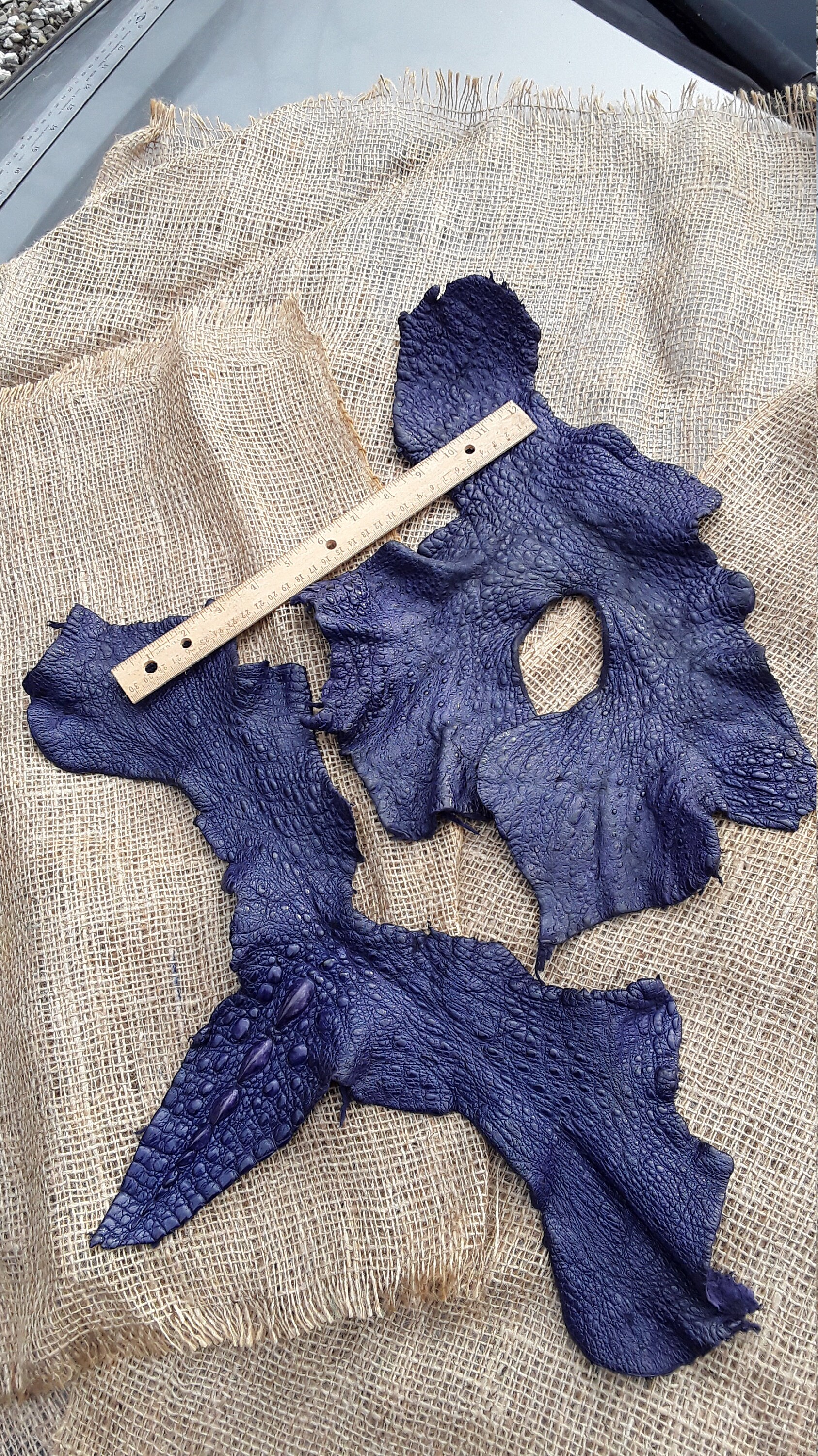 Snapping Turtle Leather , Navy Blue Tail and Shoulder , Common Snapping ...