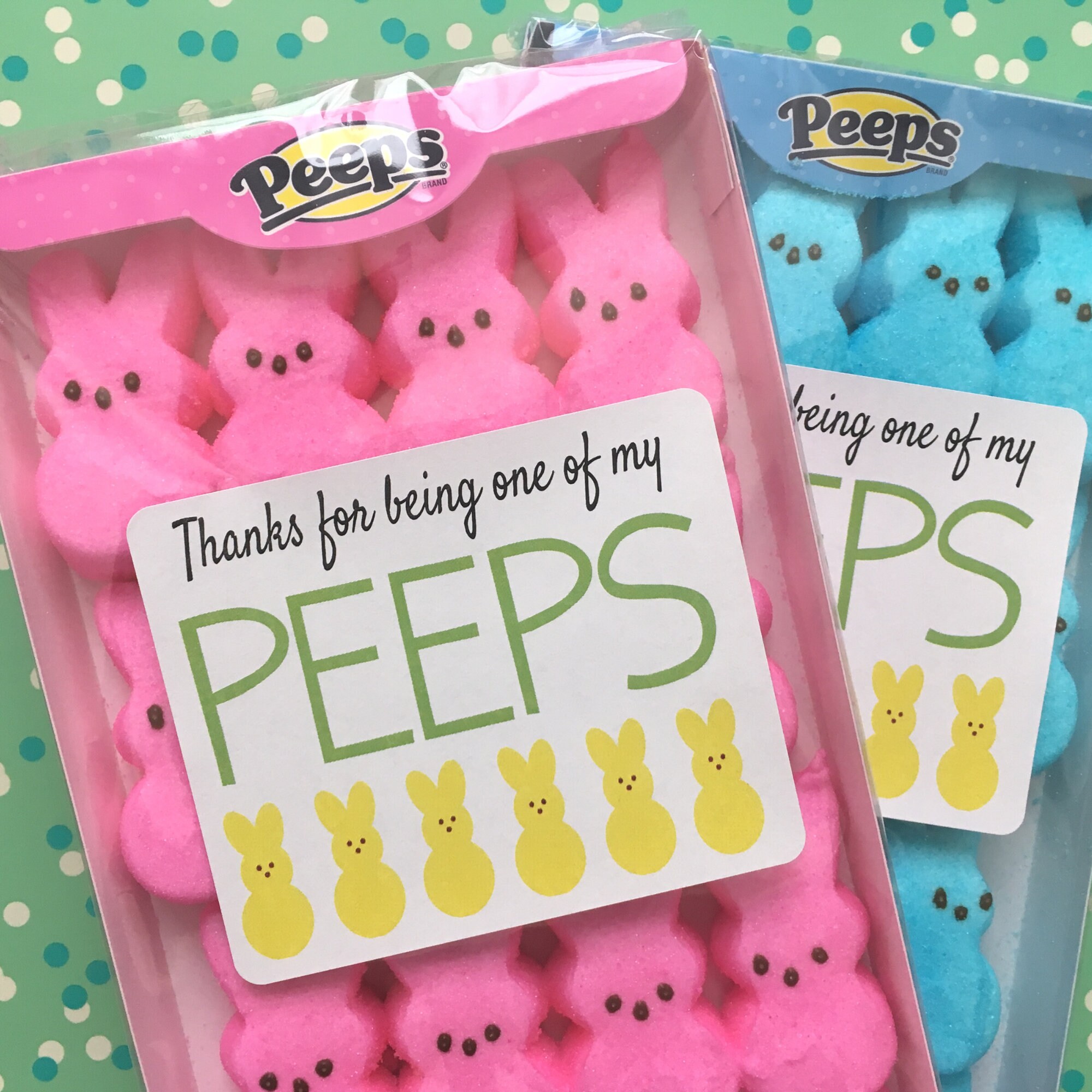 Peeps Easter Thank You Labels and Cards - Etsy