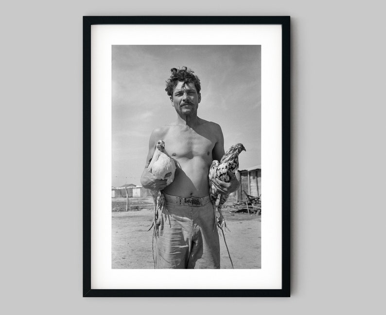 Shirtless Mexican Man Hold Two Fighting Cocks on a Ranch in - Etsy Finland