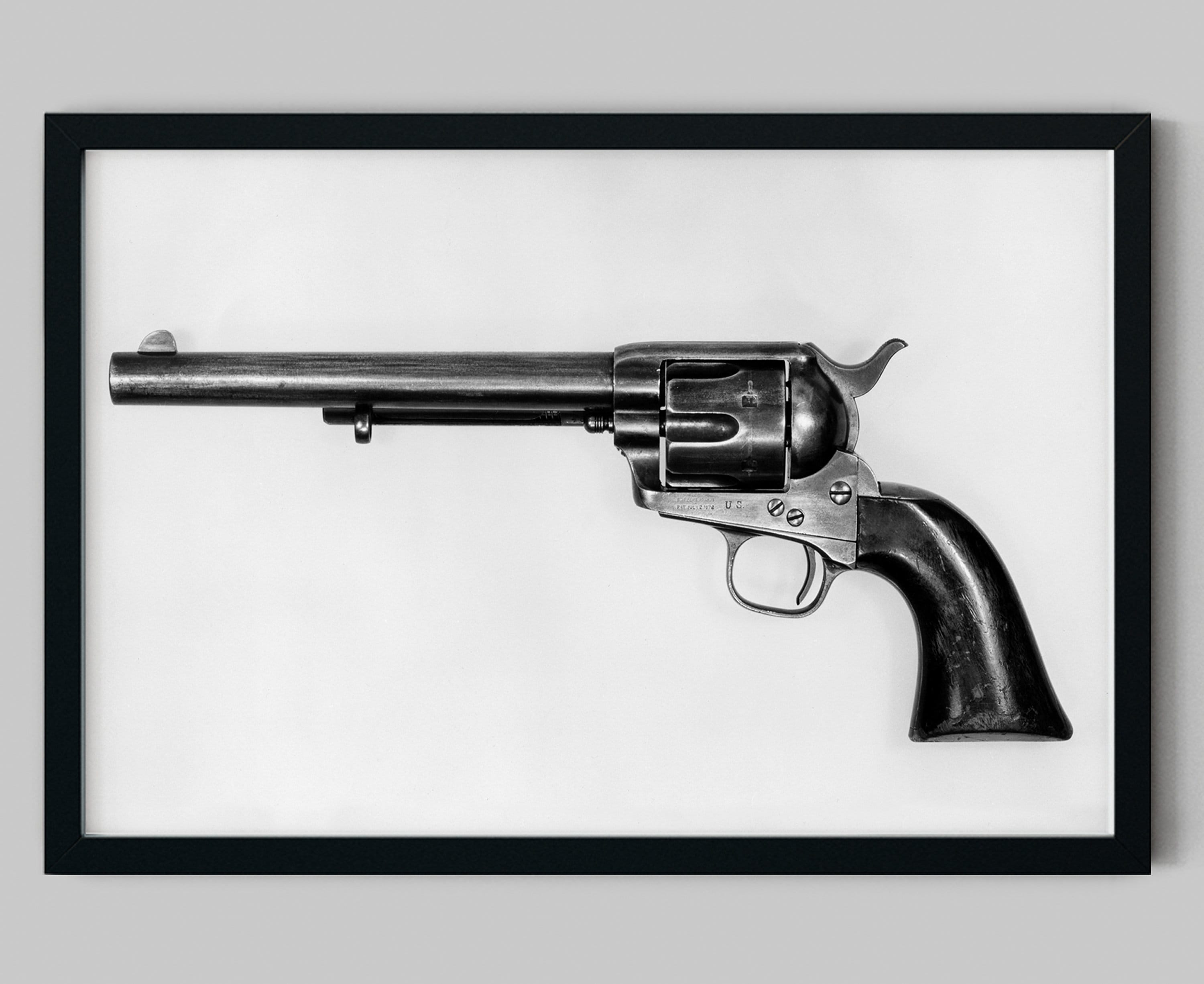 Black And White Revolver