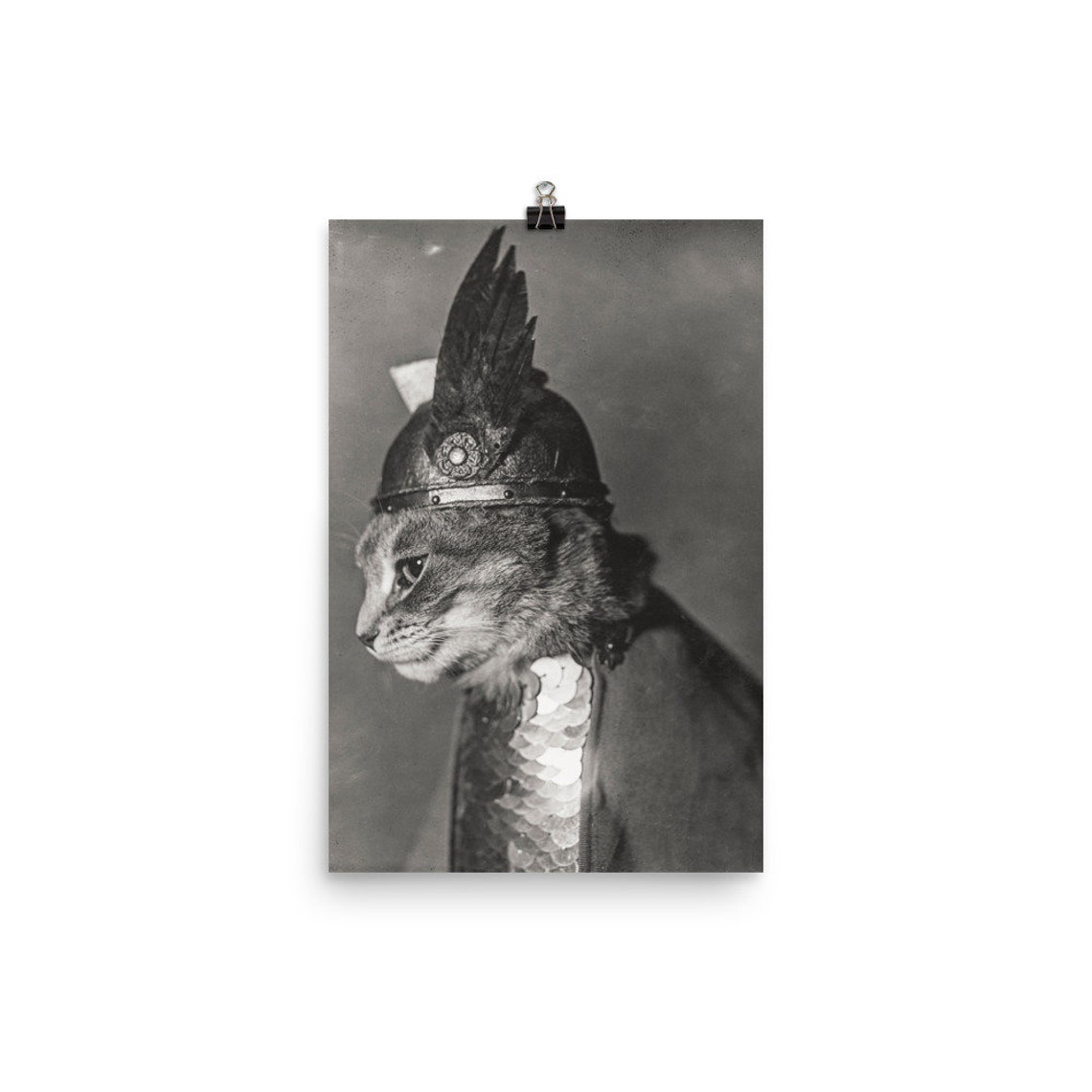 Pet Kitten Cat Wearing a Viking Helmet Costume Black and White - Etsy