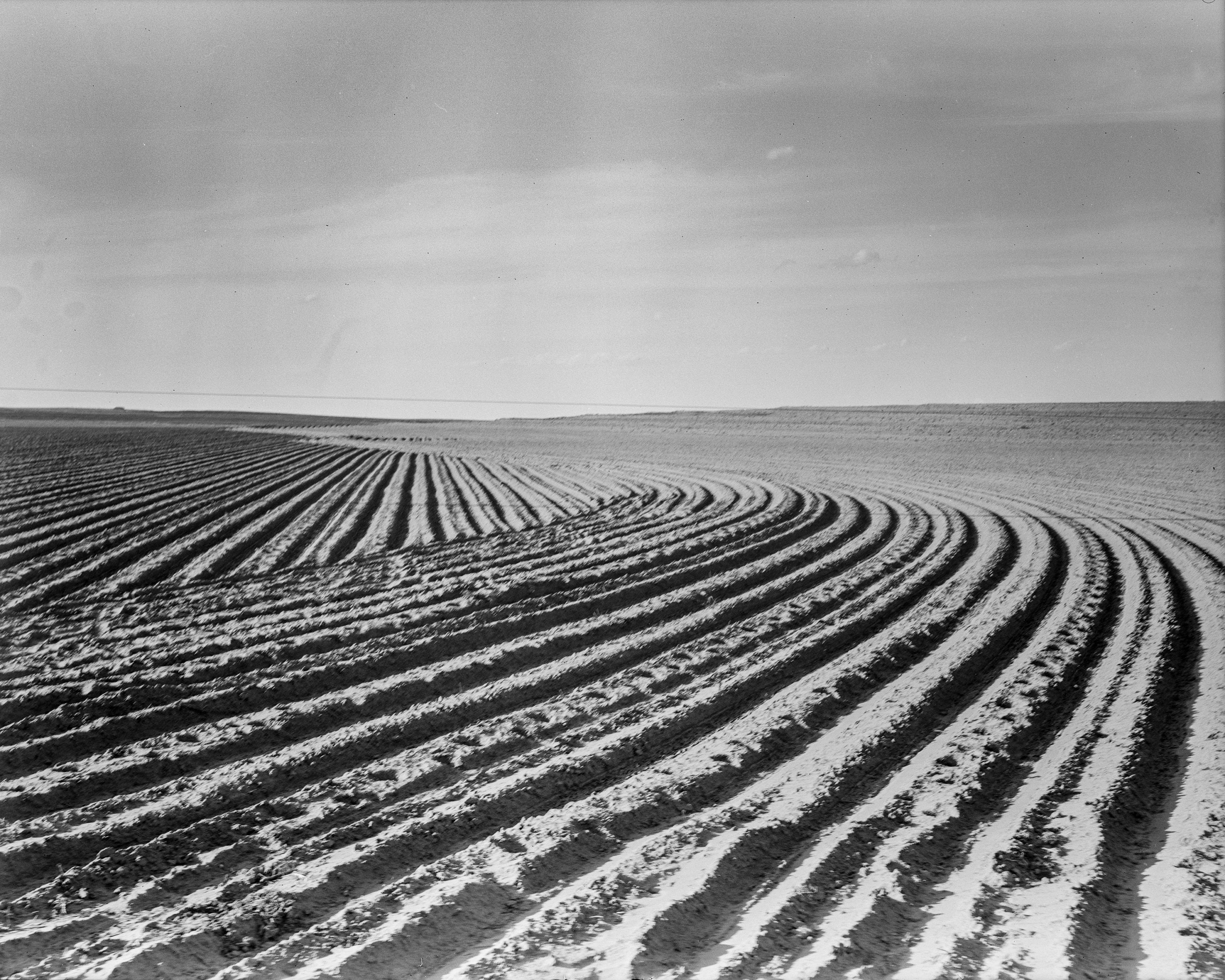 Crop Lines on the Rich Soil of a Farm Made With a Tractor Plow - Etsy