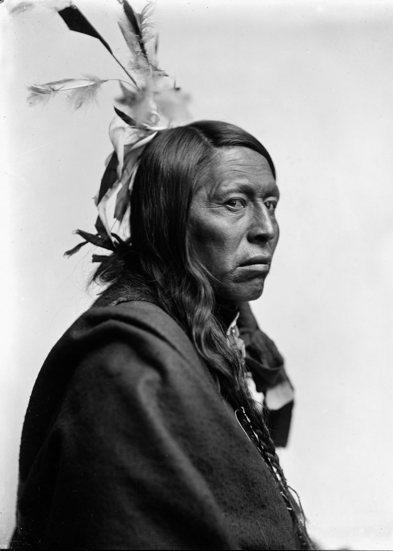 Portrait of Flying Hawk With Headdress a Native American Oglala Black ...