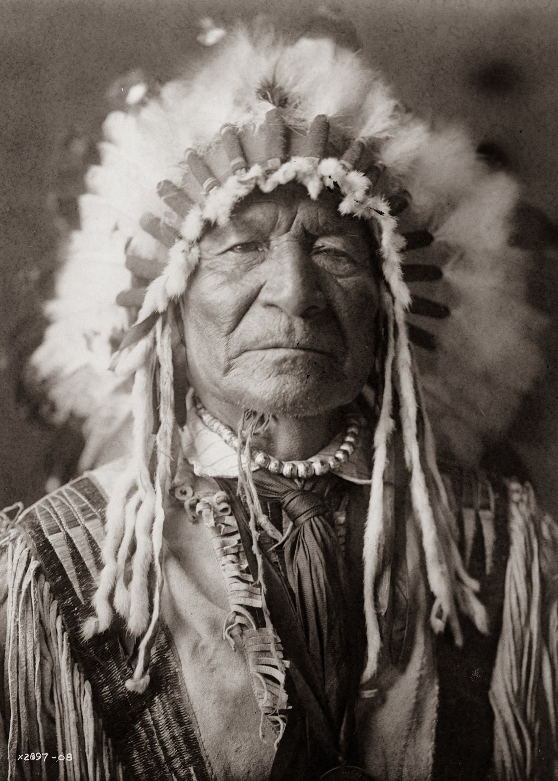 Arikara Chief Portrait Print – Native American Headdress, Black and ...