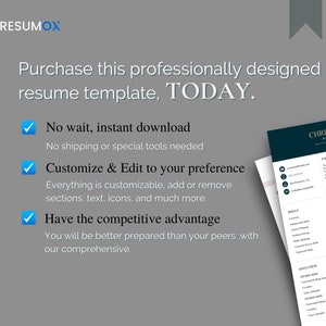 Professional Resume Template Google Docs - Functional Resume CV ...