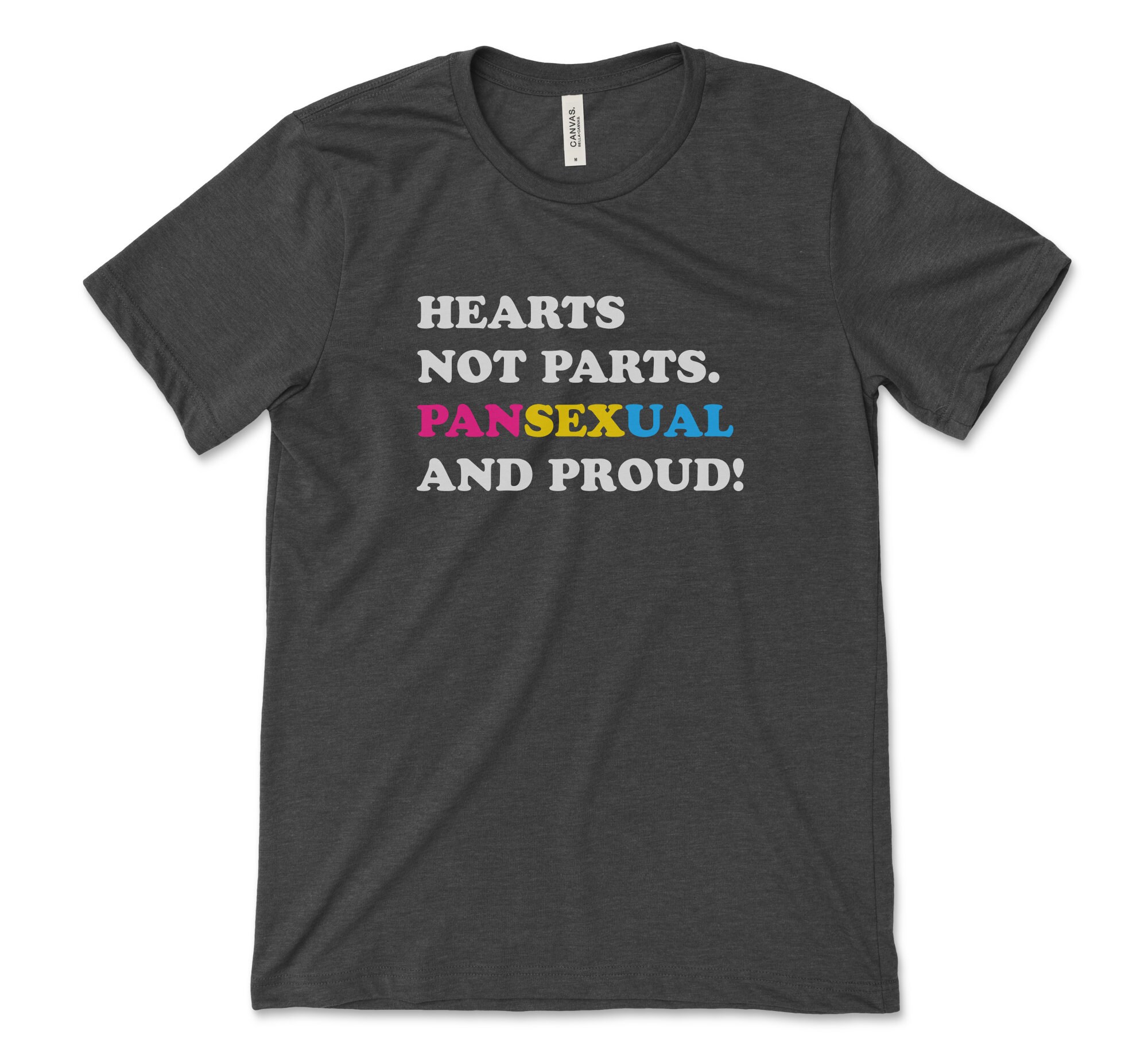 Pansexual And Proud Shirt Pan Pride Shirt Pride Month 2023 Queer Pride