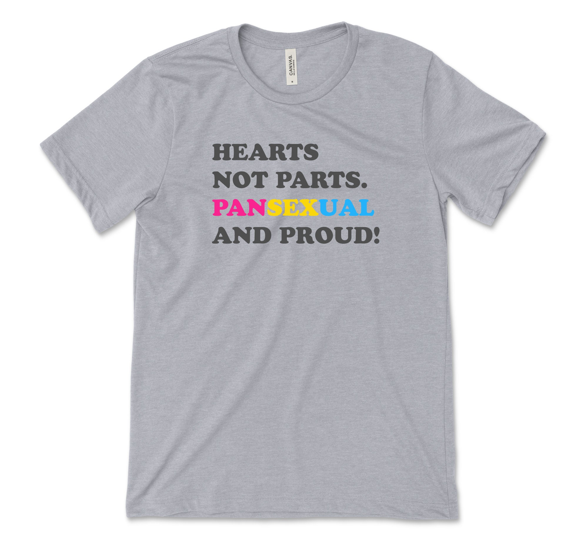 Pansexual and Proud Shirt Pan Pride Shirt Pride Month 2023 Queer Pride ...