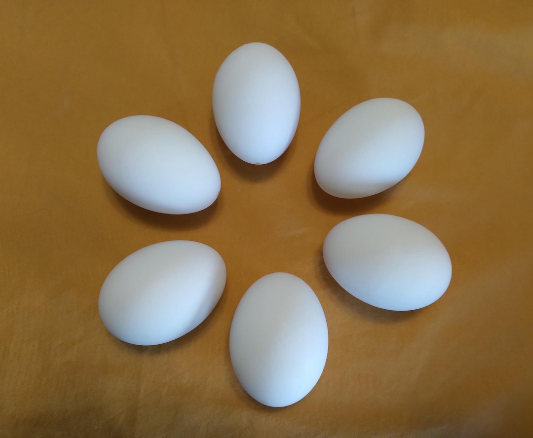 Blown Duck Eggs: Clean, Empty Duck Egg Shells for Painting, Dyeing ...