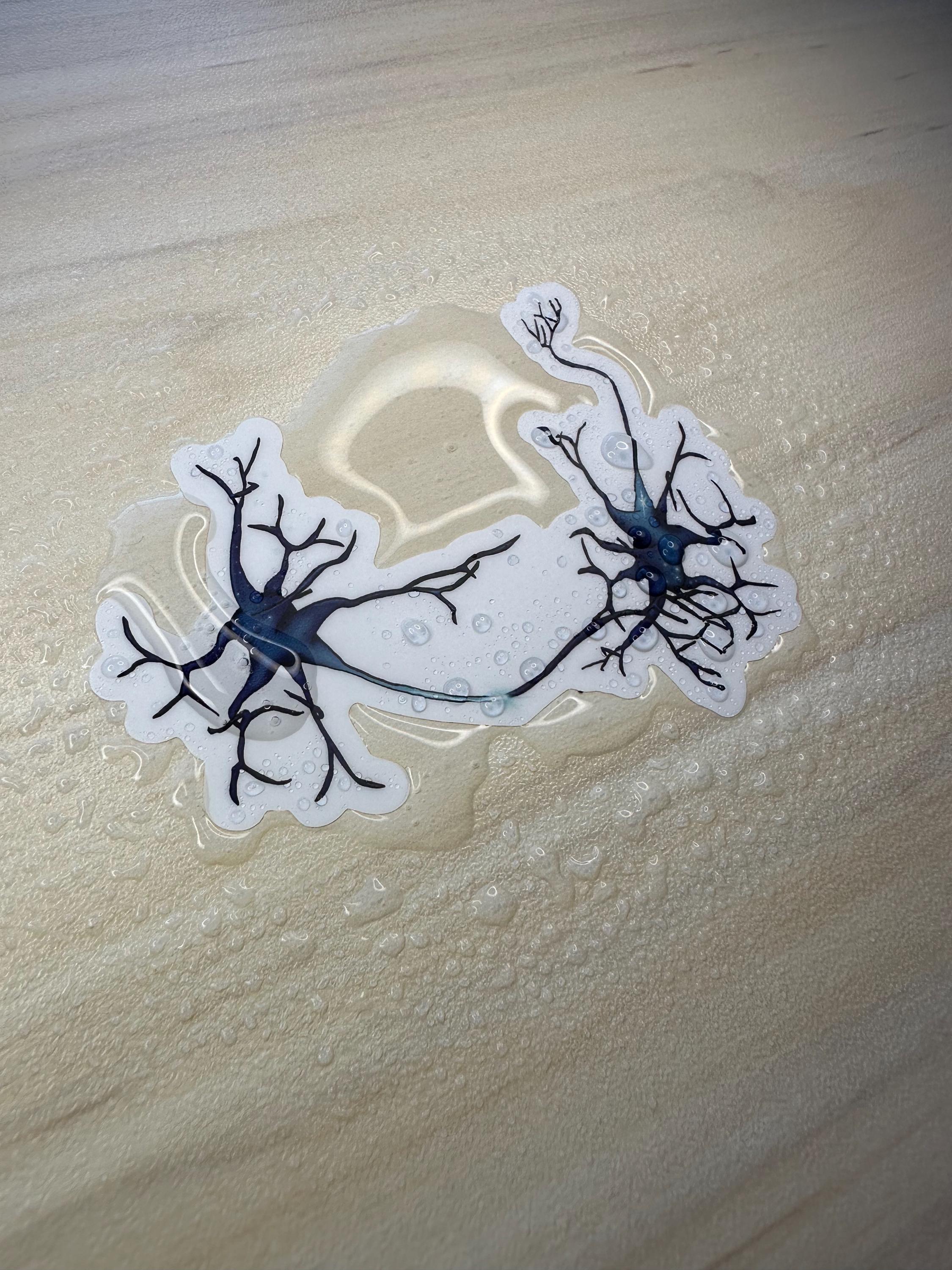 Neuron Sticker, Synapse Between Neurons, Neurology Gift, Neuroscience ...