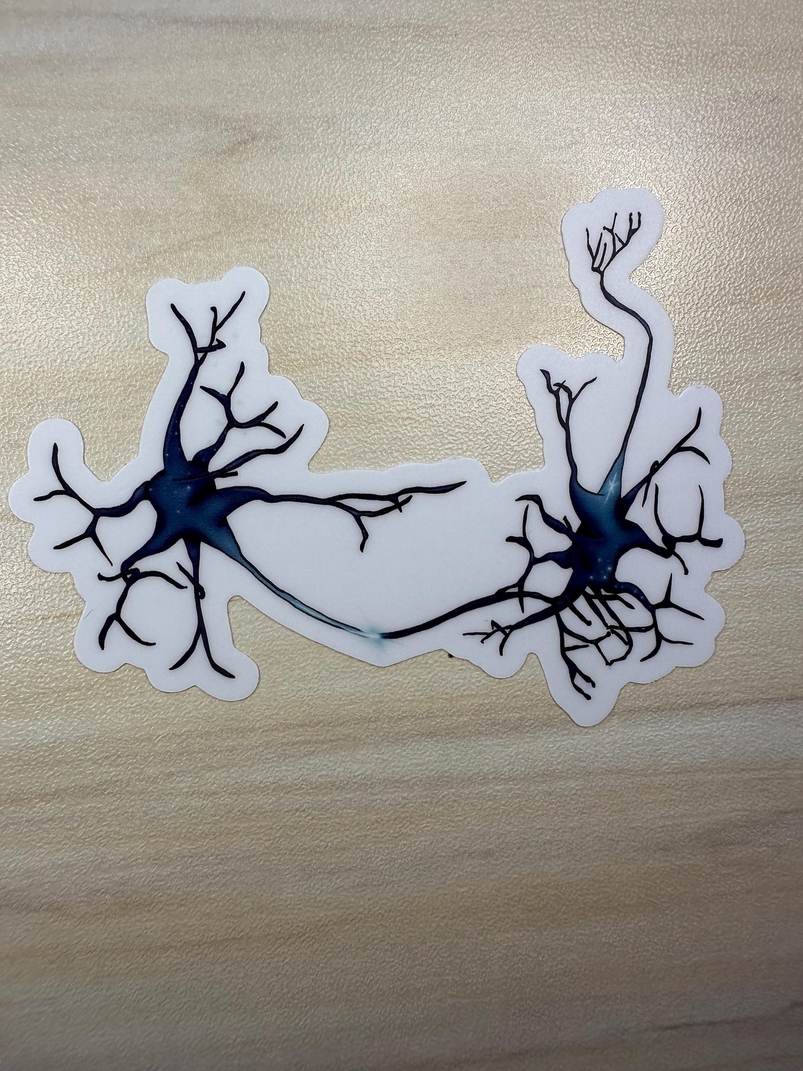 Neuron Sticker, Synapse Between Neurons, Neurology Gift, Neuroscience ...