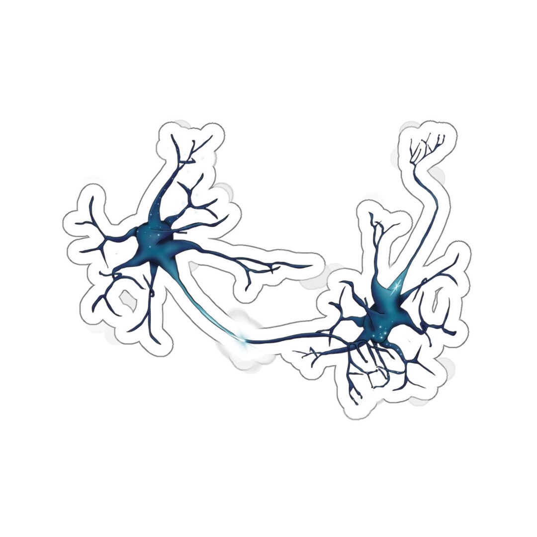 Synapse Neuroscience Sticker Neurology, Neurotransmitters, Anatomy ...