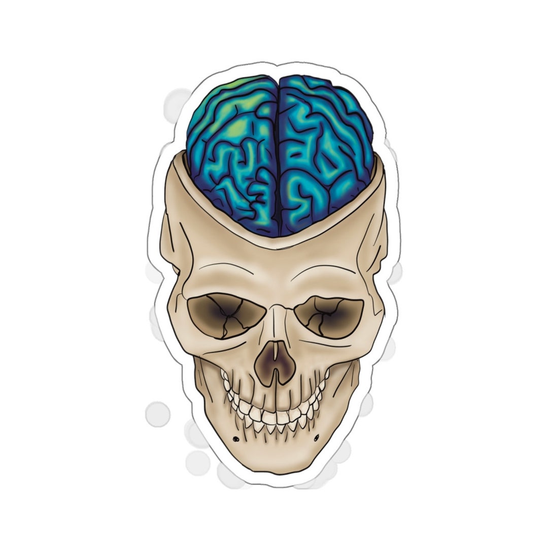 Brain Anatomy Sticker Neuro Nurse Sticker, Anatomy Teacher Gift, Skull ...