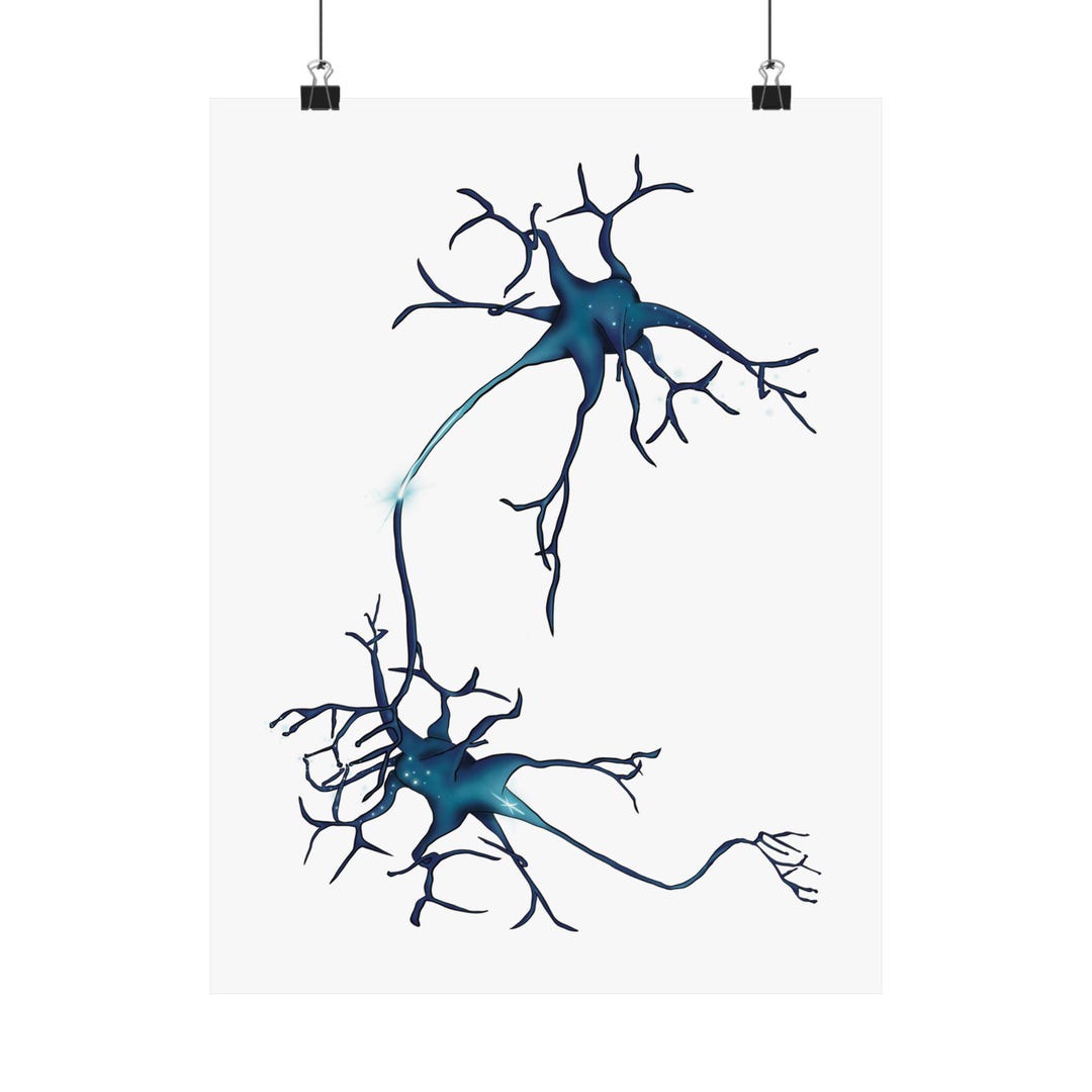 Neuron Poster, Synapse Between Neurons, Neurology Gift, Neuroscience ...