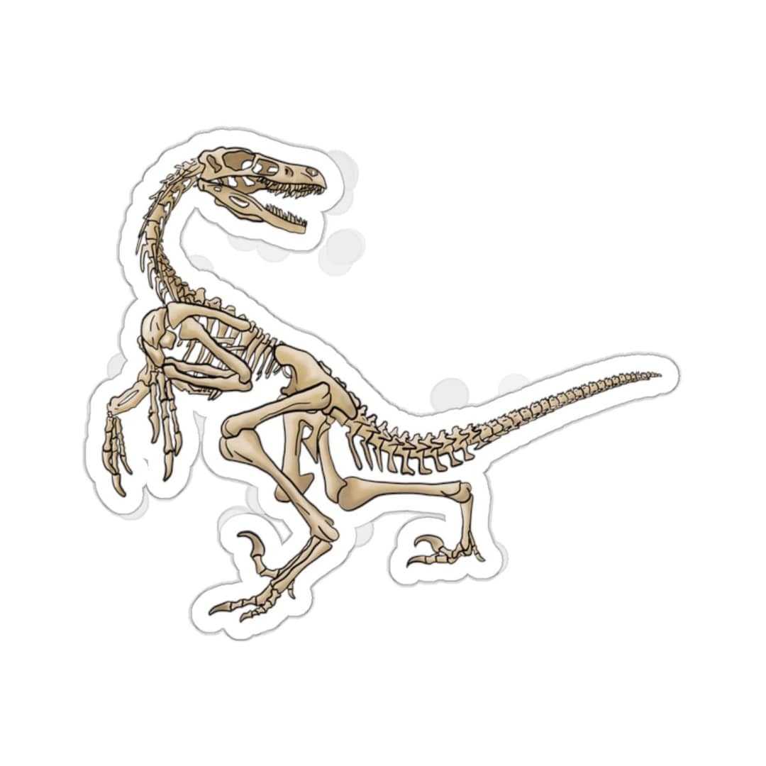 Dinosaur Skeleton Raptor Sticker - Velociraptor Paleontology Sticker ...