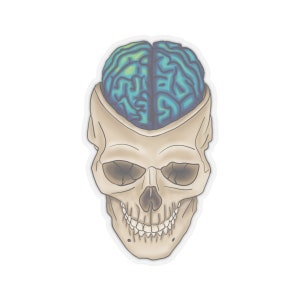 Brain Anatomy Sticker Neuro Nurse Sticker, Anatomy Teacher Gift, Skull ...