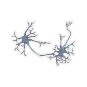 Synapse Neuroscience Sticker Neurology, Neurotransmitters, Anatomy ...