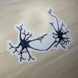 Neuron Sticker, Synapse Between Neurons, Neurology Gift, Neuroscience ...