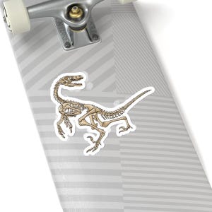 Dinosaur Skeleton Raptor Sticker Velociraptor Paleontology Sticker ...
