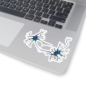 Synapse Neuroscience Sticker - Neurology, Neurotransmitters, Anatomy ...