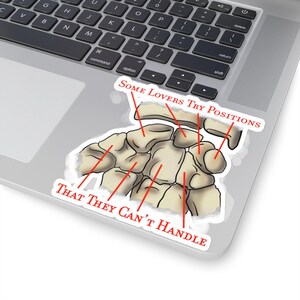 Funny Anatomy Sticker Skeleton Sticker, Chiropractor Gift, Anatomy ...